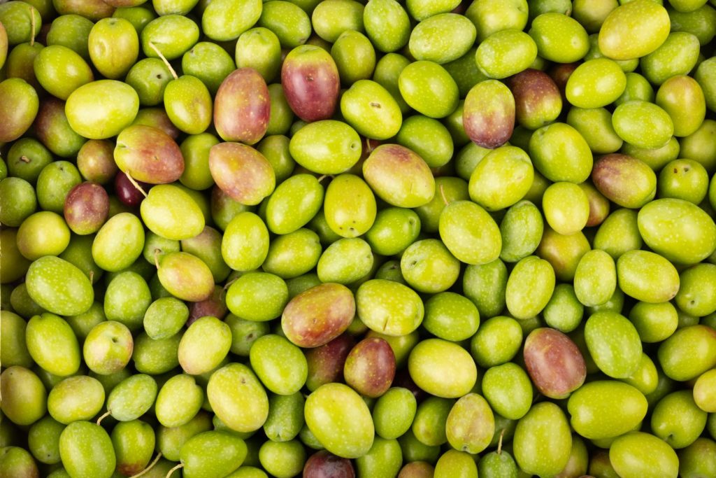 Cake aux olives – L'Apéritif Provençal